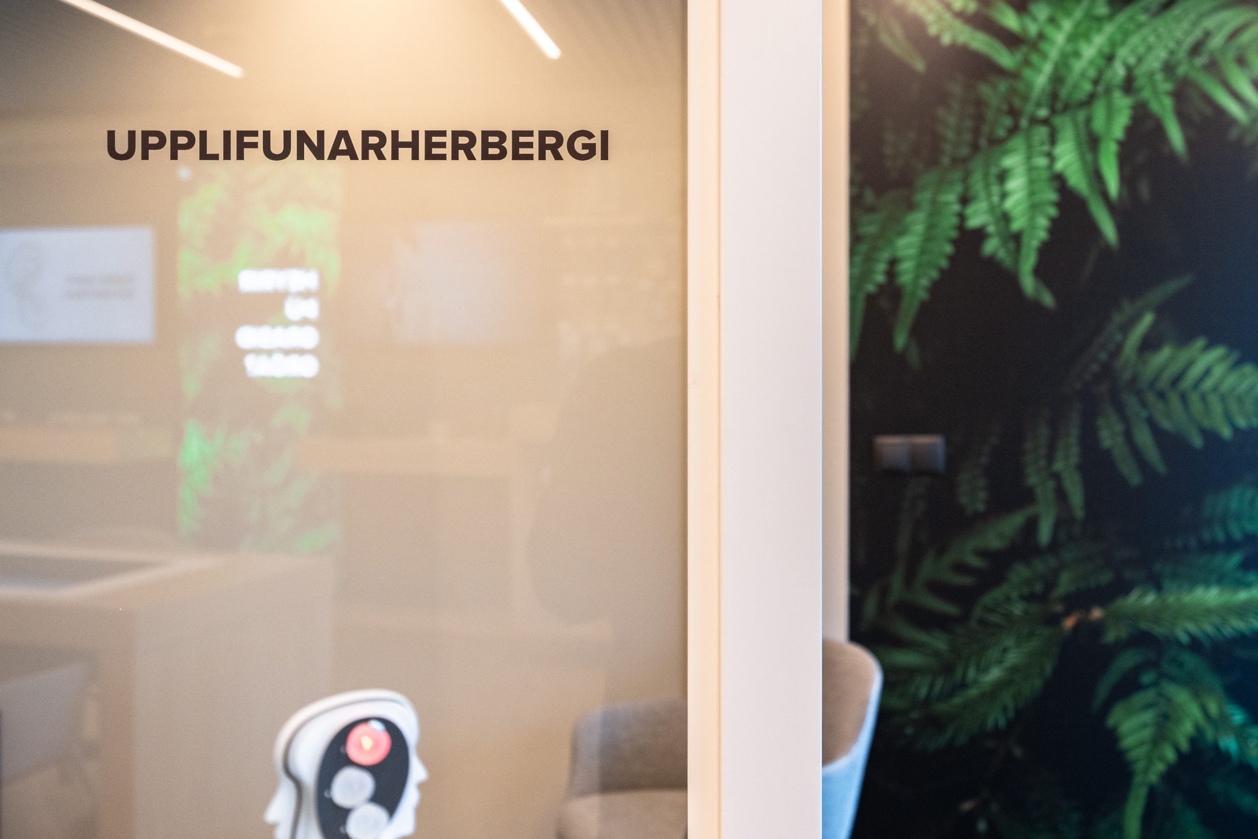 lyfja_heyrn_verslun_lagmuli-10 | Gláma·Kím